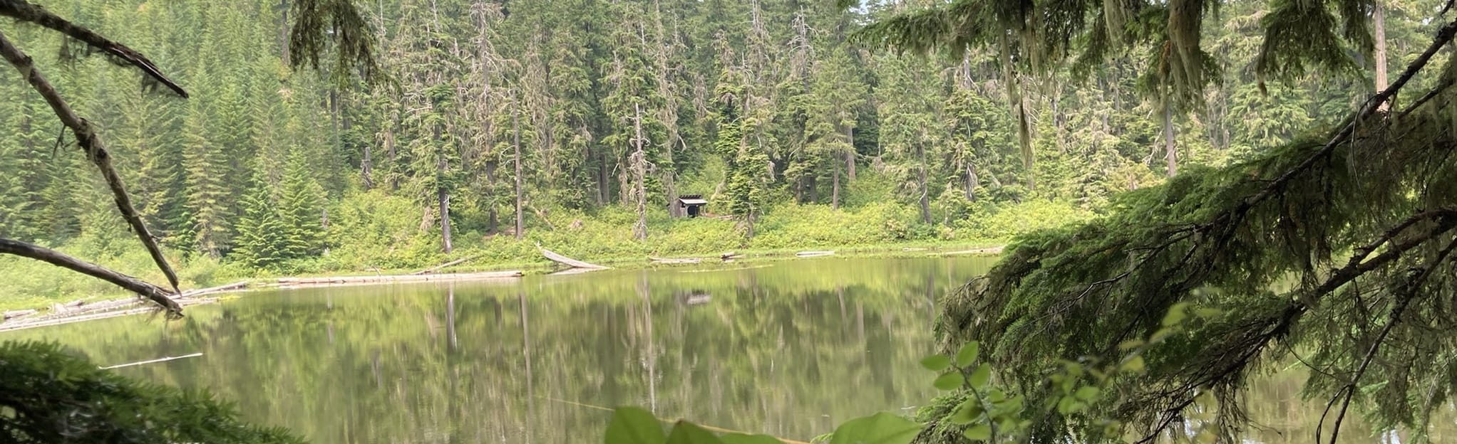 Crawfish Lake Loop: 7 Reviews, Map - Oregon | AllTrails