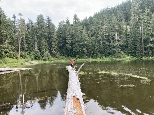 Best Lake Trails in Dorena | AllTrails