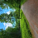 Quabbin Reservoir via Gate 40, Massachusetts - 204 Reviews, Map | AllTrails