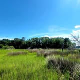 Cape Henry Trail, Virginia - 527 Reviews, Map | AllTrails