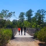 Cape Henry Trail, Virginia - 527 Reviews, Map | AllTrails