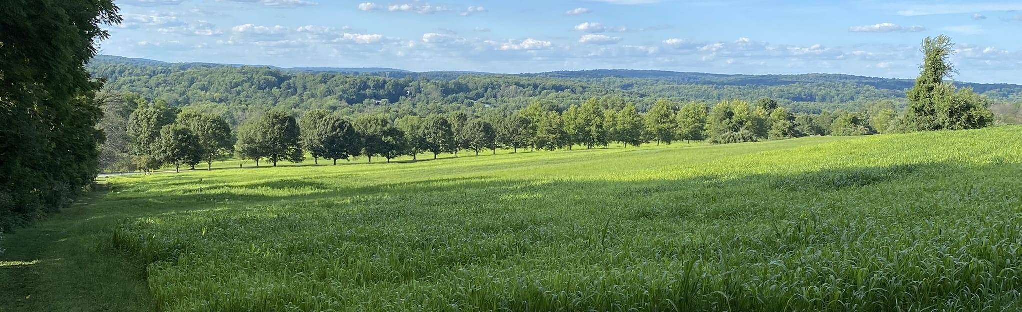 AllTrails | Springton Manor Bartol Trail: 145 Reviews, Map - Pennsylvania