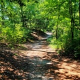 Cape Henry Trail, Virginia - 527 Reviews, Map | AllTrails