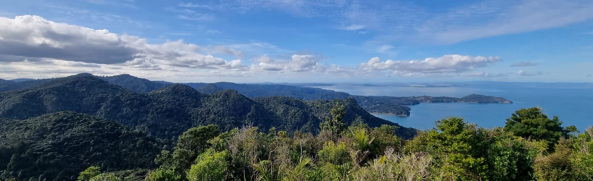 Mount Donald McLean Walk: 8 Reviews, Map - Auckland, New Zealand ...