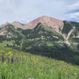 Washington Gulch Trail, Colorado - 382 Reviews, Map | AllTrails