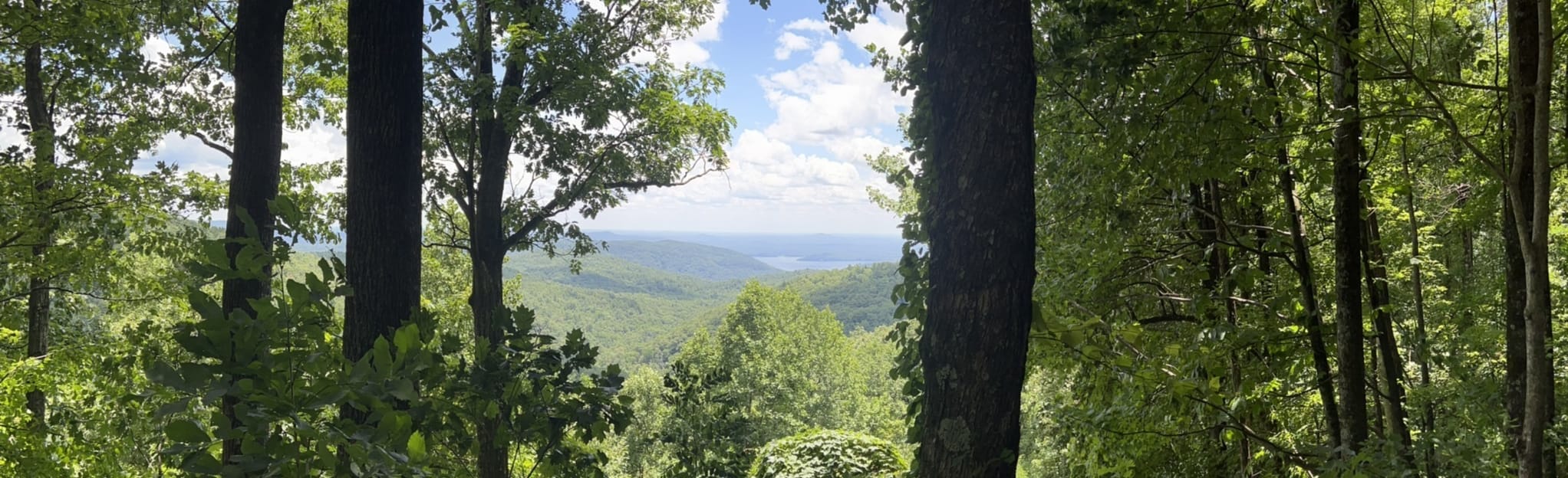 Whitewater Falls Overlook Trail, North Carolina - 779 Reviews, Map ...