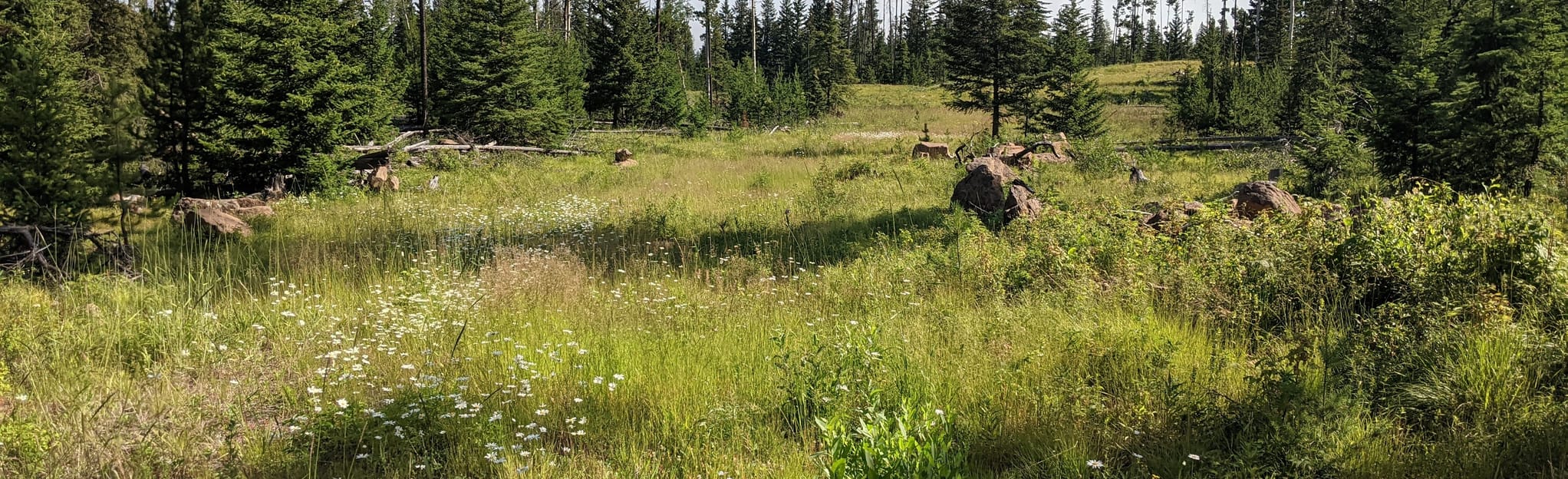 The Loops via 99 Mile Recreation Trail, British Columbia, Canada - Map ...