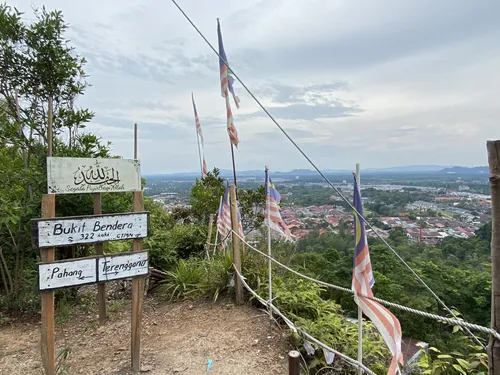 Best Forest Trails in Balok | AllTrails