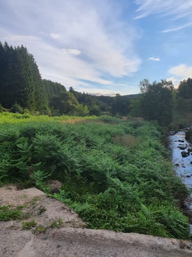 Best Hikes and Trails in Fetteresso Forest | AllTrails