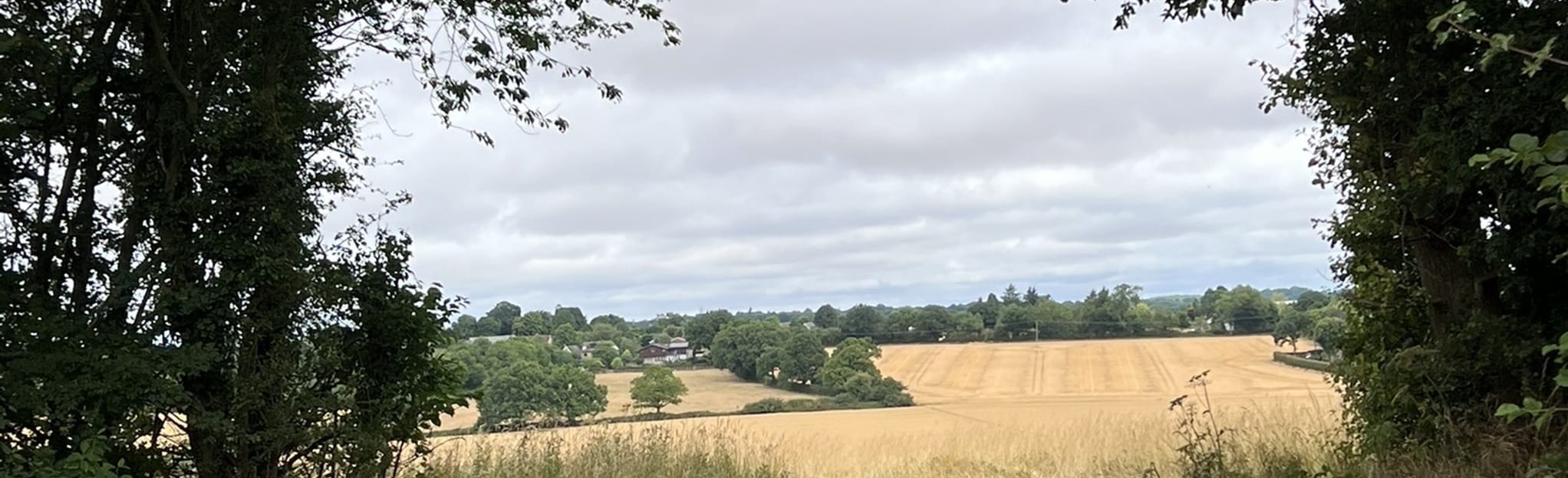 Flamstead Circular, 17 Fotos - Hertfordshire, England | AllTrails