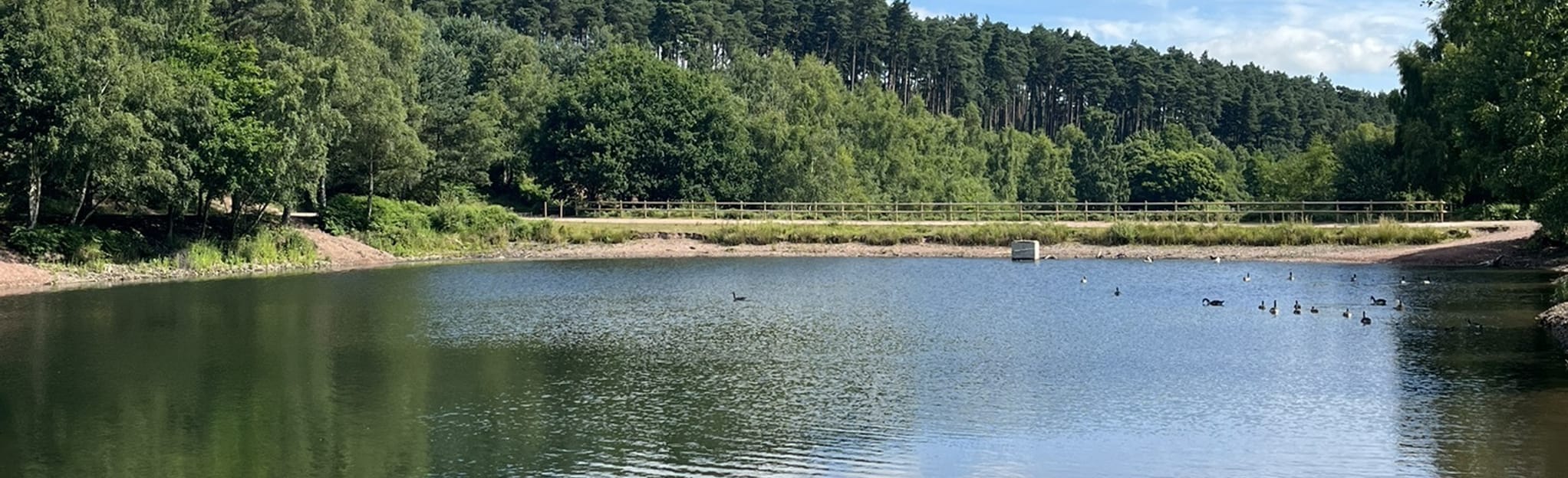 Brereton, Slitting Mill and Trent and Mersey Canal: 238 foto's ...