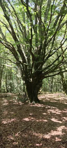 Best Hikes and Trails in Varapodio | AllTrails