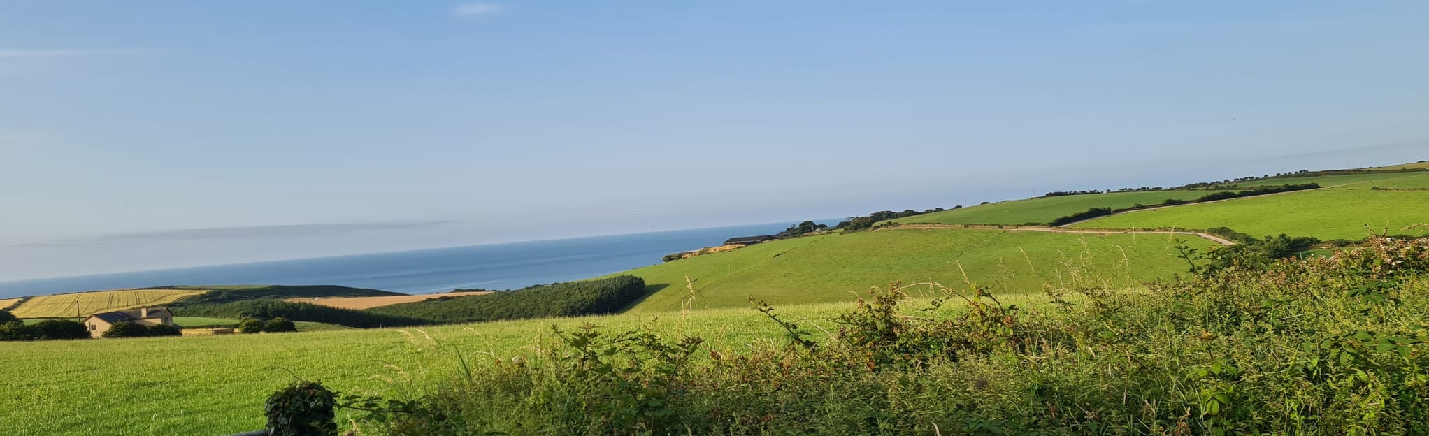 Garretstown Forest and Kilmore Wood Loop, County Cork, Ireland - 40 ...