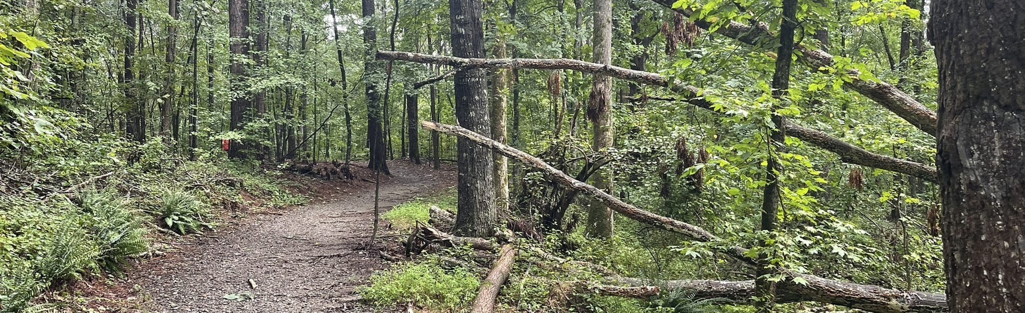 Lewis Park Loop Trail, Georgia - 145 Reviews, Map | AllTrails