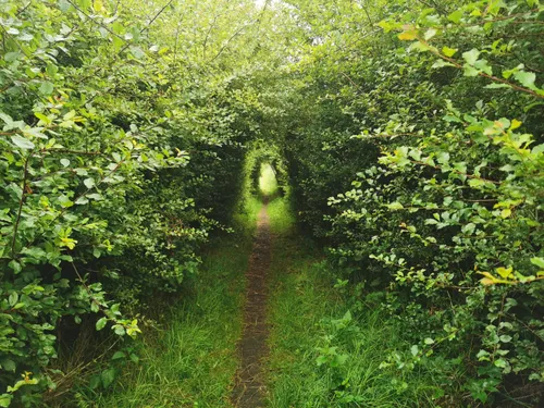 Best Hikes and Trails in Possil Marsh Nature Reserve | AllTrails