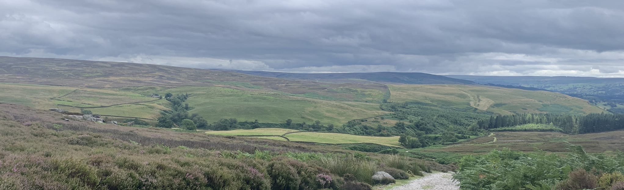 Simon's Seat, North Yorkshire, England - 22 Reviews, Map | AllTrails