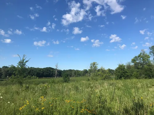 Best Hikes and Trails in Timber Ridge Forest Preserve | AllTrails