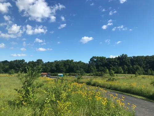 Best Hikes and Trails in Timber Ridge Forest Preserve | AllTrails