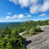 Manning Trail, New Hampshire - 172 Reviews, Map | AllTrails