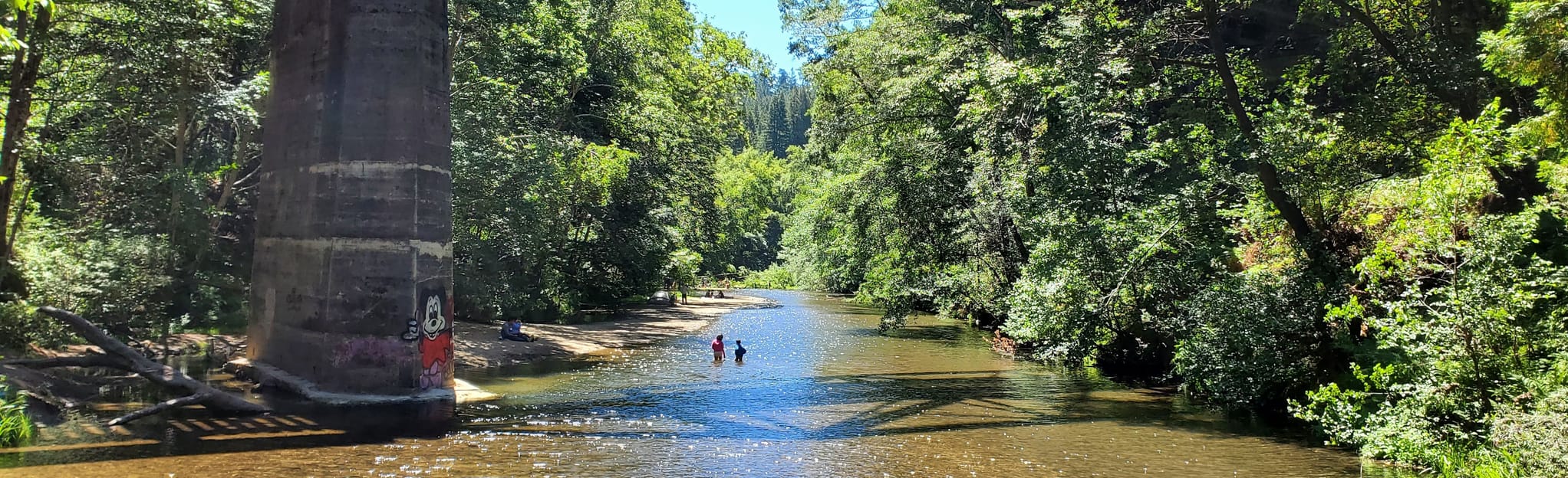 Big Rock Hole, Redwood Grove, Ox Trail Path Loop - California | AllTrails