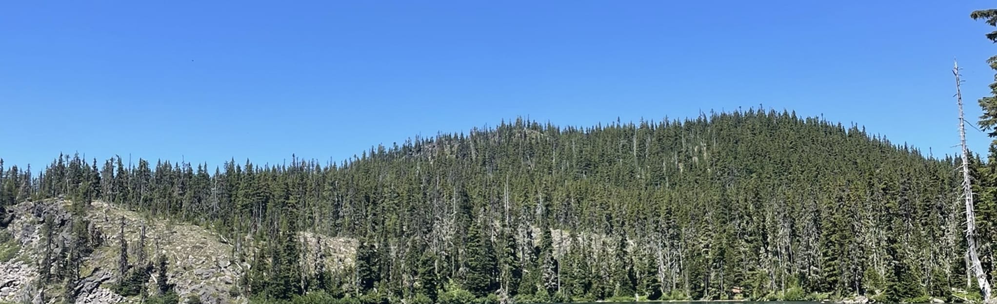 Scott to Tenas Lakes via Benson Lake Trail: 220 Reviews, Map - Oregon ...