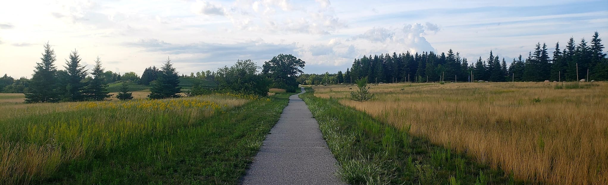 Cedar Bog Trail: 1,156 Reviews, Map - Manitoba, Canada | AllTrails