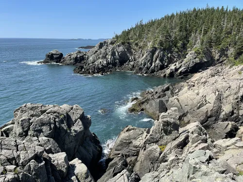 Best Hikes and Trails in Cutler | AllTrails