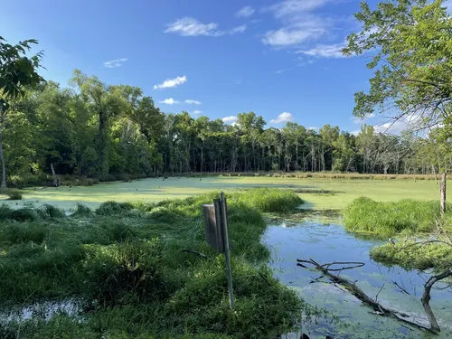 10 Best Trails and Hikes in Tulsa | AllTrails