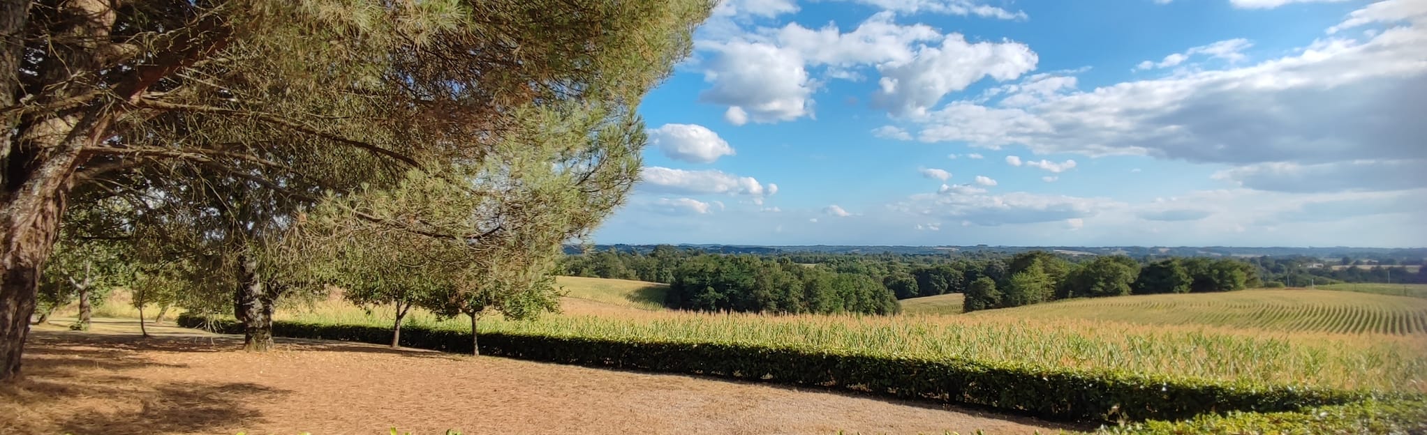 Pouy de Montsoué and Gabas Valley Circuit: 6 Reviews, Map - Landes ...