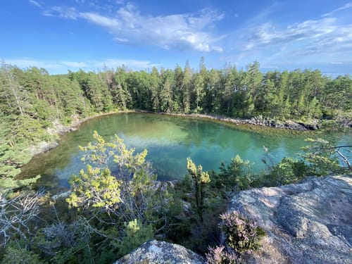 Bästa vandringarna och lederna i Harge Uddar naturreservat | AllTrails