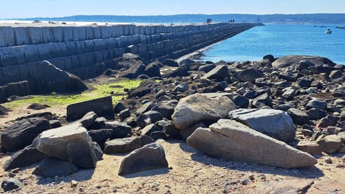 Best Hikes and Trails in Eastern Point Wildlife Sanctuary | AllTrails