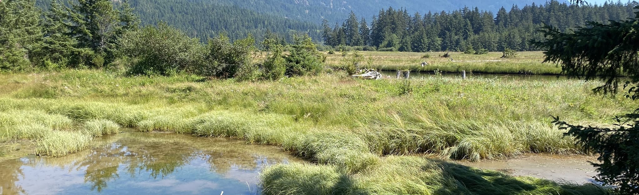 Salmon River Estuary Walk: 10 Fotos - British Columbia, Kanada | AllTrails