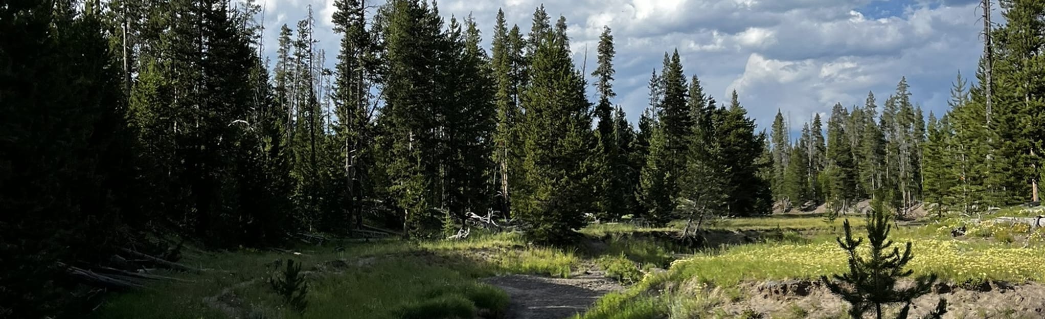Lewis Lake Trail: 63 Reviews, Map - Montana | AllTrails