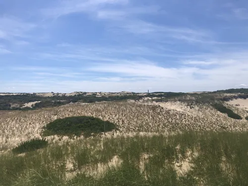 10 Best Hikes and Trails in Cape Cod National Seashore | AllTrails