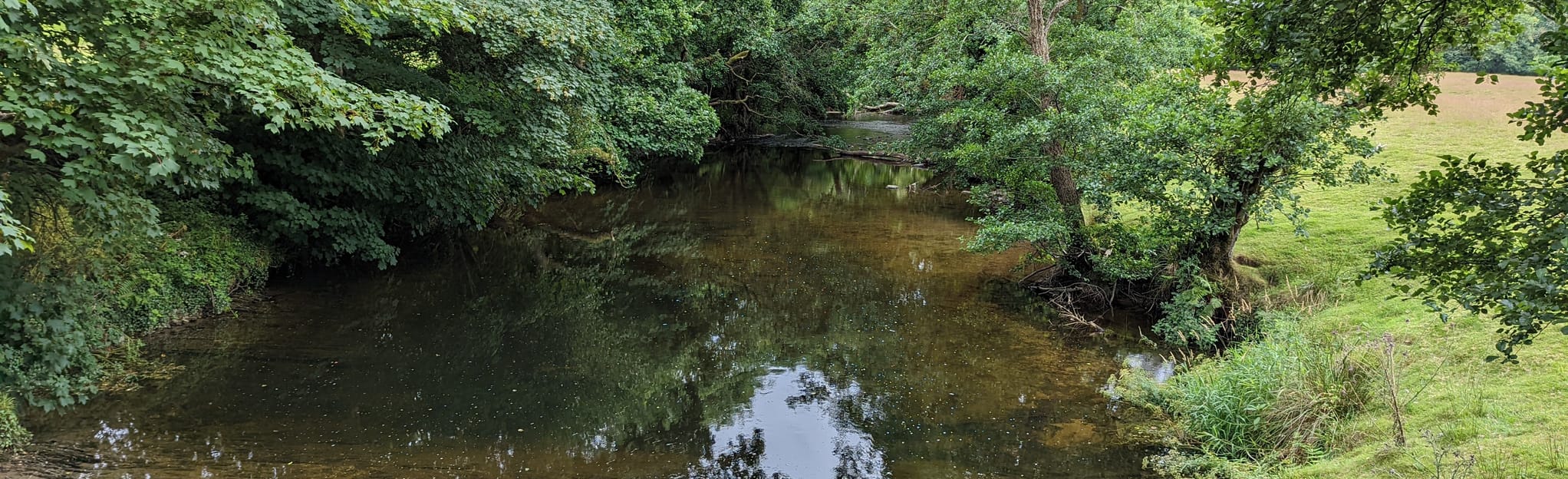 Gara Bridge and Hothole Wood: 24 Fotos - Devon, England | AllTrails