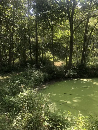 Best Hikes and Trails in Frytown Conservation Area | AllTrails