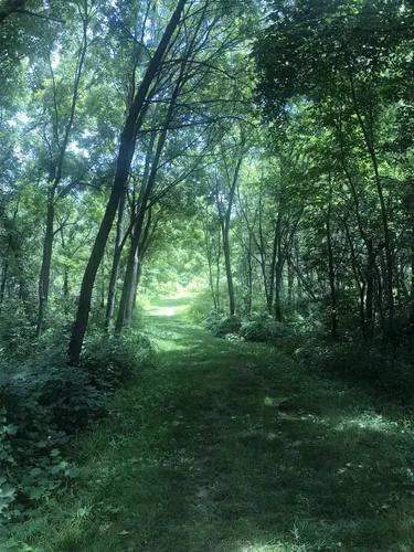 Best Hikes and Trails in Frytown Conservation Area | AllTrails