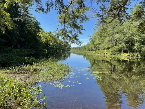 Best Lake Trails in Tully Lake Recreation Area | AllTrails