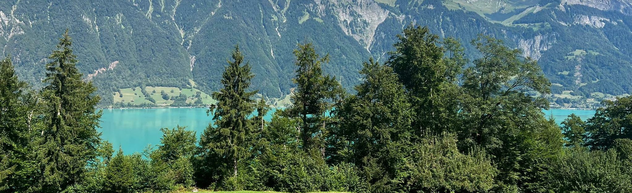 Iseltwald - Giessbach Falls: 9 Reviews, Map - Bern, Switzerland | AllTrails