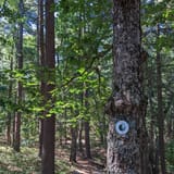 Tippling Rock and Fords Folly, Massachusetts - 627 Reviews, Map | AllTrails