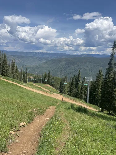 10 Best Trails and Hikes in Aspen | AllTrails