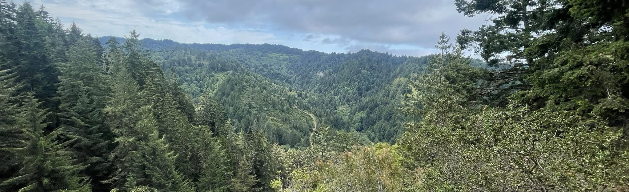 Russ Park: 242 Reviews, Map - California | AllTrails