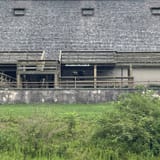 Gring's Mill Trail, Pennsylvania - 1,002 Reviews, Map | AllTrails