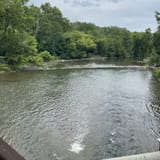 Gring's Mill Trail, Pennsylvania - 1,002 Reviews, Map | AllTrails
