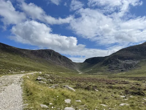 10 Best Bird Watching Trails in Mourne Mountains Area of Outstanding ...