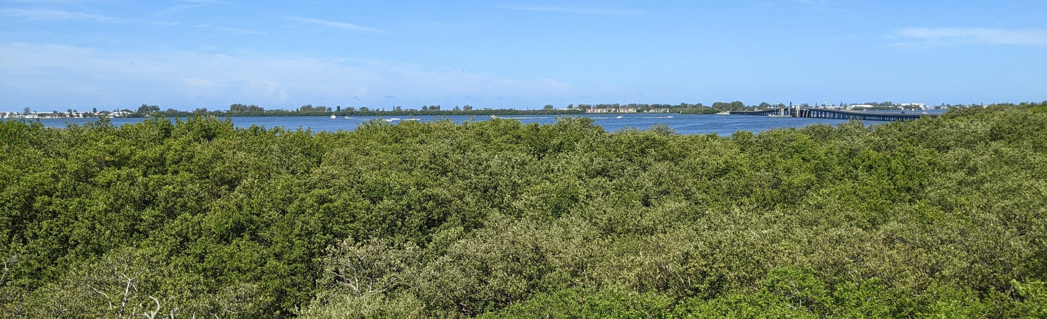 AllTrails | Neal Preserve Loop: 69 Reviews, Map - Florida