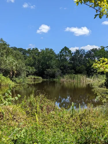 Best 10 Hiking Trails in Emerson Point Preserve | AllTrails