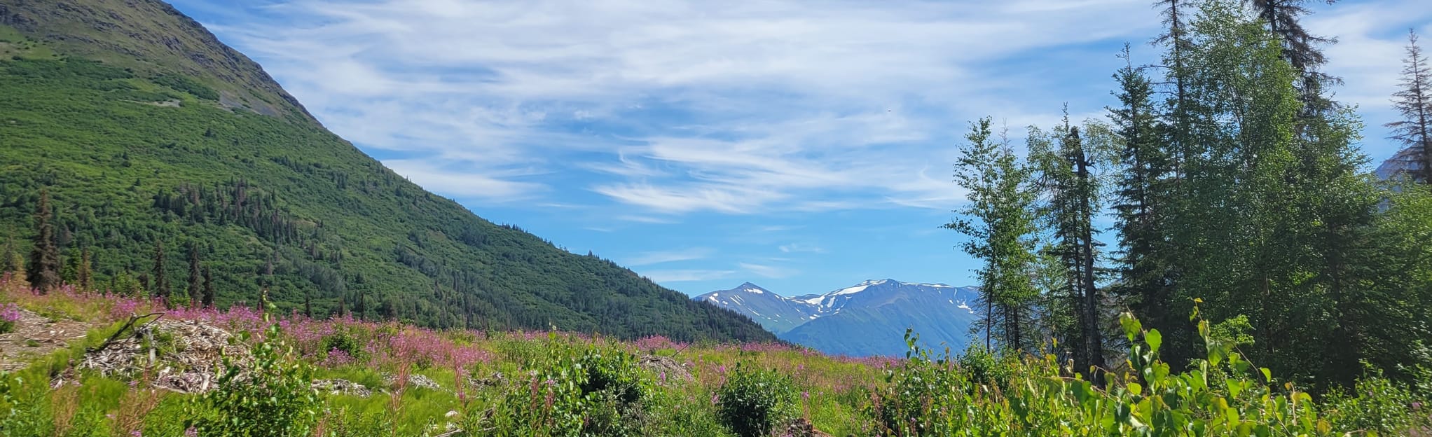 Juneau Lake via Resurrection Pass Trail #318: 46 Reviews, Map - Alaska ...