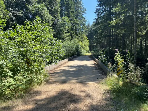 Best River Trails in Tiger Mountain State Forest | AllTrails