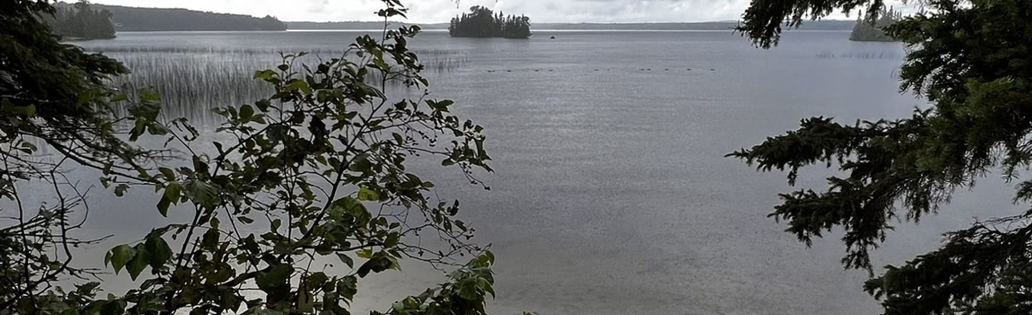 Aaron Provincial Park Cycle, Ontario, Canada - 5 Reviews, Map | AllTrails